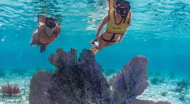 Three Reef Snorkel Tour – Cozumel Visitors Guide